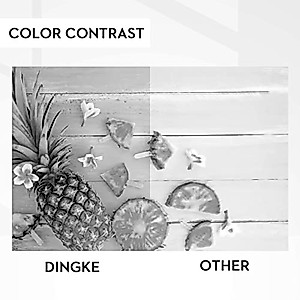 DingKe 4-Black 127 Ink Cartridge remanufactured for 127 120 Compatible with Workforce WF-2760 WF-2750 WF-2630 WF-2650 WF-2660 XP-320 XP-420 XP-424 Printers (4-Pack)