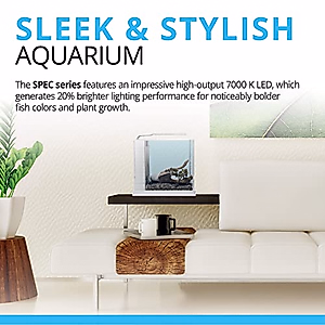 Fluval SPEC Aquarium Kit, Aquarium with LED Lighting and 3-Stage Filtration System, 5-Gallon