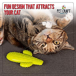 Pet Craft Supply Cactus Interactive Cat Toy Chew Toy Teeth Cleaning Bite Resistant 100% Natural Rubber with Bonus Catnip and Silvervine Bags for Kittens and Adult Cat