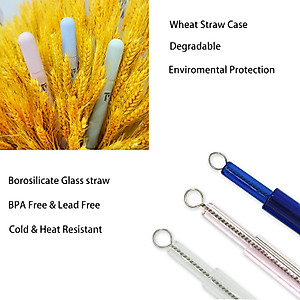Ipretti 2 Packs Reusable Glass Drinking Boba Smoothie Straws with Wheat Straw Portable Cases,Cleaning Brushes,7mm/12mm x 8.27",Bubble Tea (Clear+Pink)