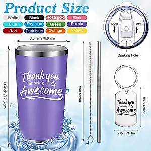 Sieral Thank You for Being Awesome Tumbler,Thank You Gifts for Women Men 20oz Insulated Stainless Steel Travel Tumbler with Lid and Straw Appreciation Gift with Keychain (Multicolor, 24 Pieces)