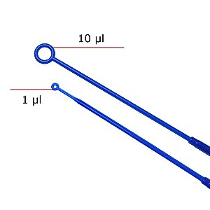 MEETOOT 20pcs 1ul Sampling Rod Disposable Inoculating Loop Individually Aseptic Package
