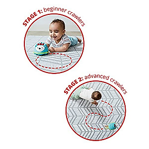 Skip Hop Developmental Learning Crawl Toy, Explore & More, Hedgehog