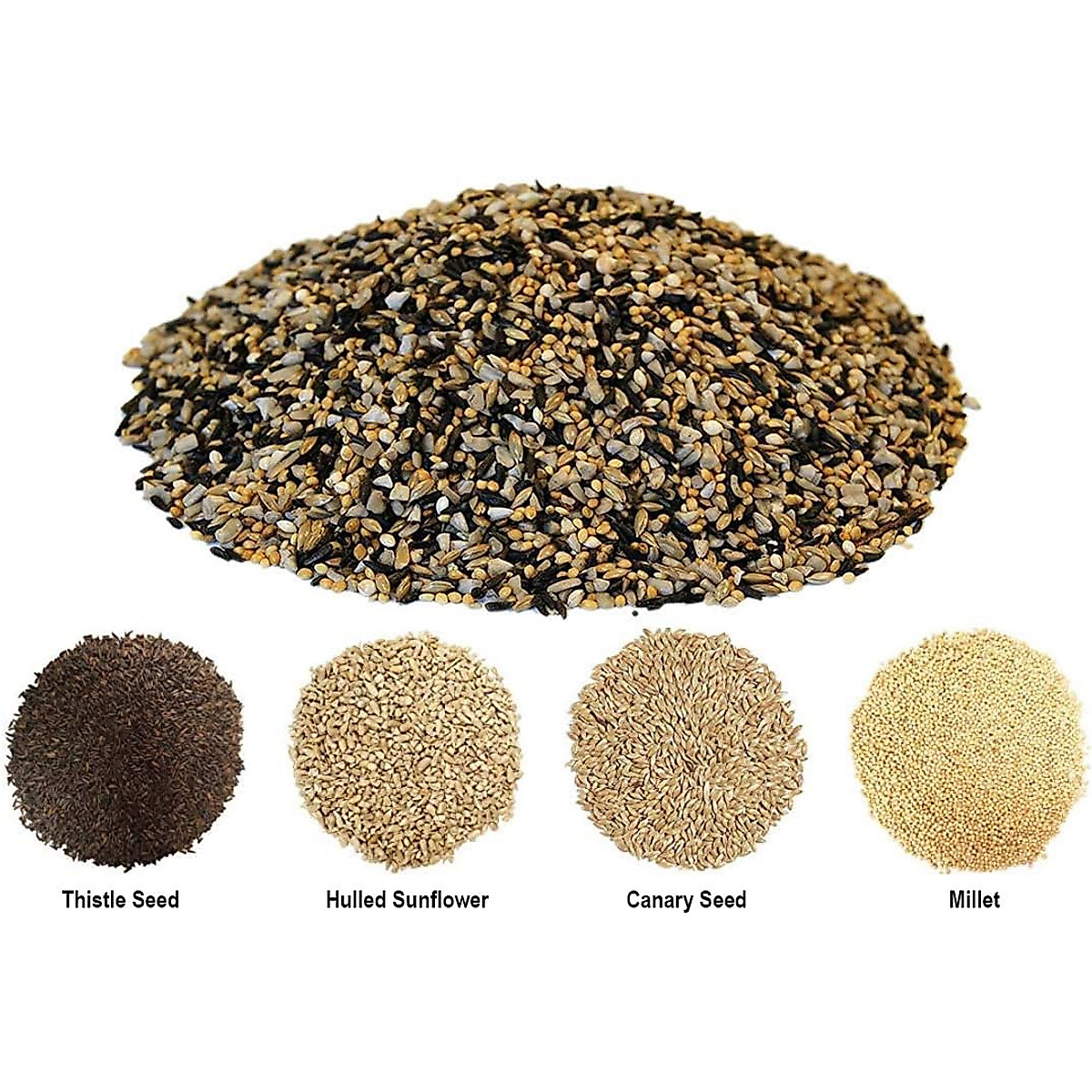 Backyard Seeds Finch Frenzy Mix for Outside Feeders, Year Round Wild Bird Seed for Goldfinches and Other Musical and Colorful Birds (5 Pounds)