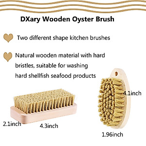 DXary Oyster Cleaning Brush Set, 2 Pieces Wood Oyster Brush with Oyster Shucking Knife Kit Natural Bristle Hair Hard Brush Suit For Kitchen Vegetable Oysters Seafood Brush Cleaning Tools (Wood)