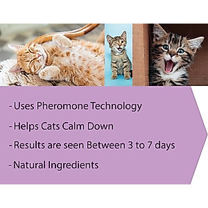 Adjustable Collar with Powerfull pheromones for Cats, relieves Anxiety, Brings Calm and Reduces Stress in Your pet for 30 Days, 1 Unit FEROGATOS