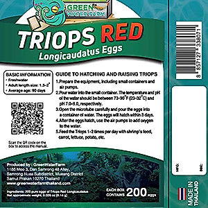 Greenwaterfarm Triops Red Longicaudatus Eggs for Hatching and Culture Suitable to be Pet and Science Project (Pure 200 Eggs)