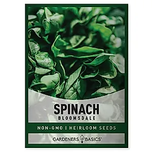 Bloomsdale Spinach Seeds for Planting is A Great Heirloom, Non-GMO Vegetable Variety- Great for Indoor, Outdoor and Hydroponics Gardening by Gardeners Basics