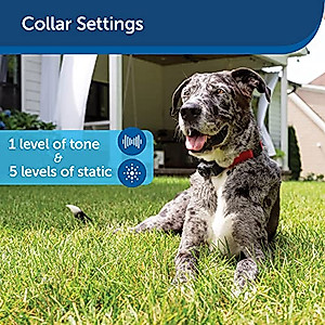 PetSafe In-Ground Pet Fence for Dogs and Cats Over 8 lb - from The Parent Company of Invisible Fence Brand - Includes Lightweight Waterproof Collar with Tone and Static Correction