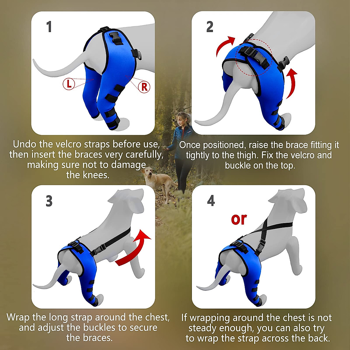 MewMewLand Dog Knee Braces for Pain CCL, ACL, Arthritis, Extra Support, Dog ACL Brace Hind Legs with Metal Side Stabilizers, Black Medium