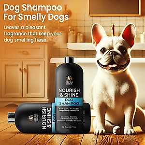 Dog Shampoo and Conditioner Set for Allergies, Itching & Daily Use | Itchy Skin Relief & Odor Control | with Lavender & Rosemary Oils for Calming | Safe for Sensitive Skin | All Dogs, 16 fl oz x 2