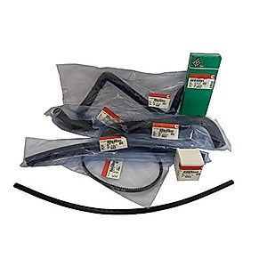 GPS GENERATOR PARTS SPECIALIST 1,000 Hour Replacement Parts Kit for Onan HDKAH, HDKAJ, HDKAK