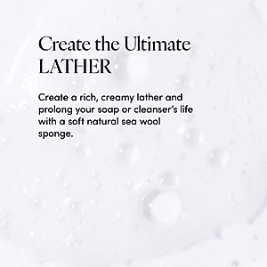 LATHER - Natural Sea Wool Sponge, 5-6" - Organic Exfoliating Body Scrubber - Soft, Gentle Cleansing - Hypoallergenic - All Skin Types - Florida Natural Loofah Sponge - Cruelty Free - Beauty & Skincare