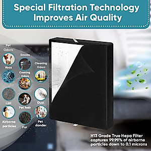 2 Pack - 45i Replacement Filter - for Breathesmart Flex Bh400 and Breathesmart 45i Air Purifier - H13 Grade True Hepa Filter - Part # B4-Fresh - B4-Pure - FL40