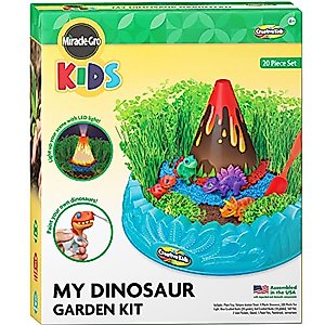 Creative Kids Miracle GRO Dinosaur Garden Kit, Multicolor