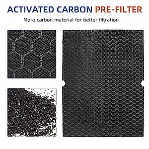 116130 Replacement Filter H for Winix 5500-2 Am80 Plasmawave Air Purifier True HEPA Carbon Filter, 2 Set