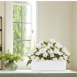 GardenBasix Elongated Self Watering Planter Pots Window Box 5.5 x 16 inch with Coconut Coir Soil Indoor Home Garden Modern Decorative Planter Pot for All House Plants Flowers Herbs 1, White 5.5" x16”