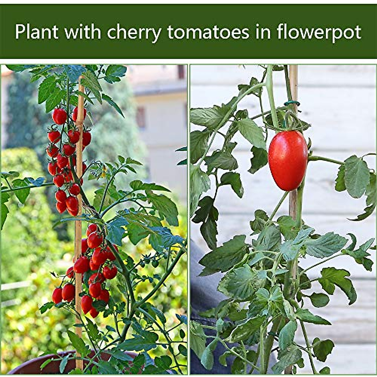 Pllieay 20PC 1.33'/16 Inch Natural Thick Bamboo Stakes Garden Stakes Bamboo Sticks Plant Stakes for Outdoor Plants and Indoor Plants, Potted Plants Tomato Plant Support