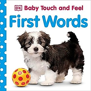 Baby Touch and Feel: First Words