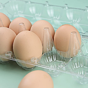 24Pack Clear Plastic Disposable Egg Tray Carton Holder for Family Pasture Chicken Farm Business Market- Holds up to 12 Eggs Securely