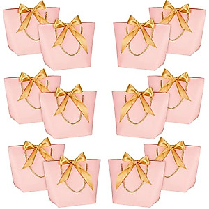 20 Pieces Gift Bags with Handles Paper Party Favor Bag with Bow Ribbon Elegant Gift Bags Gift Bag with Bow Wedding Gift Bags Gift Wrap Bags for Birthday Bridesmaid Welcome Wedding (Large, Pink)