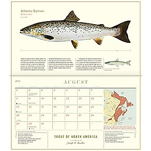 Trout of North America Wall Calendar 2021