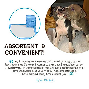 Puppy Pads Dog Pee Pad for Potty Training Dogs & Cats 22 x 22"- 100-Count Large
