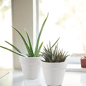 Sderoq 3.14 Inch Terracotta Pots - 22Pack Clay Flower Pots with Drainage Hole, Succulent Nursery Pot/Cactus Plant Pot. Great for Plants, Crafts, Wedding Favorn, DIY Production (White)