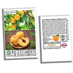 Lovell Peach Tree Seeds for Planting, (Prunus persica), 2 Heirloom Seeds Per Packet, (Isla's Garden Seeds), Non GMO Seeds, Great Home Garden Gift