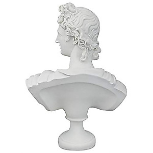 Design Toscano Apollo Belvedere Bust Statue, Single, White Twin