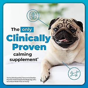 VETRISCIENCE Composure Calming Treats for Dogs Dealing with Anxiety, Separation Stress, Noise, Thunder and Barking - Yummy Flavored Chews Pets Love