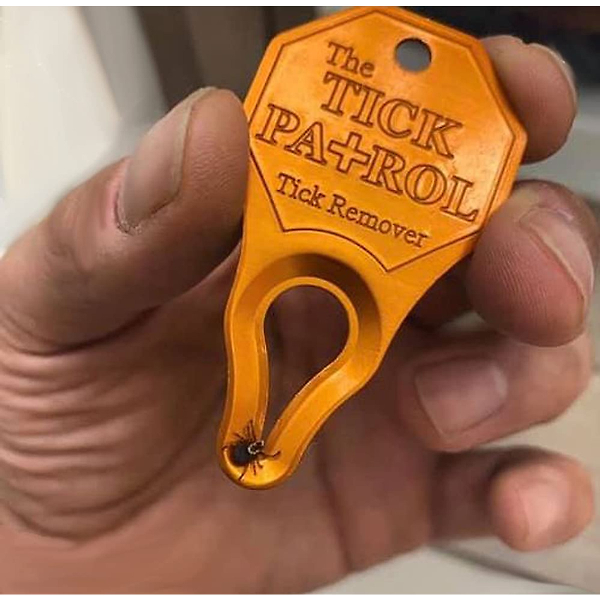 The Tick Patrol Tick Remover 3-Pack - for People & Pets - Stop Ticks in Their Tracks! (Blue, Red, Green)