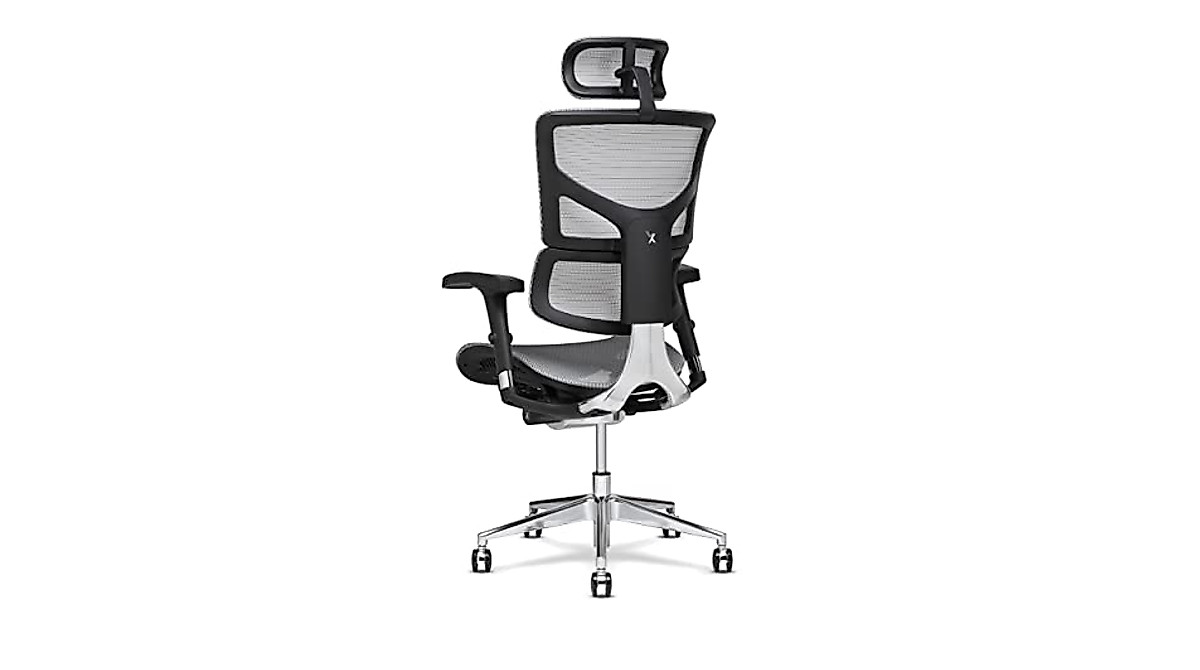 X-Chair X2 Management Task Chair - Ergonomic & Highly Adjustable Office ...