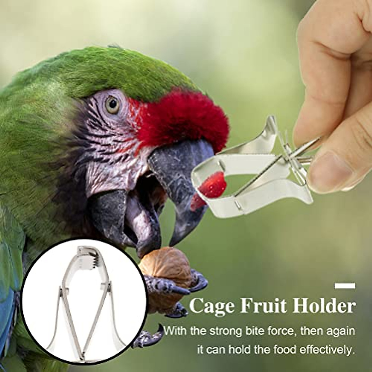 Ipetboom Bird Fruit Clips Bird Cage Food Holder Clips 4pcs Stainless Steel Parrot Fruit Vegetable Clips Bird Cage Feeder Clip for Budgie Parakeet Cockatoo Macaw Cockatiel Conure