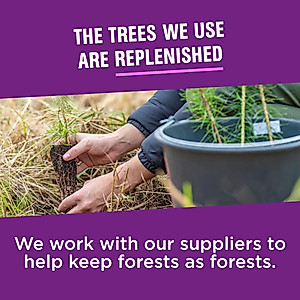 Vanity Fair Everyday Extra Absorbent Premium Paper Napkin, 960 Count, Dinner Napkin for Messy Meals