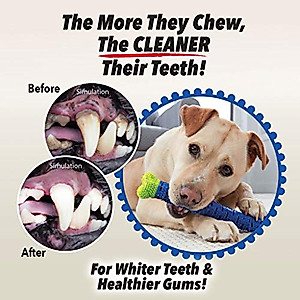 BulbHead Chewbrush Toothbrush Dog Toothbrush and Dog Toy - No Dog Toothpaste Required - Great Dog Teeth Cleaning Toys (1 Pack)