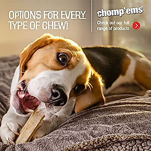 CHOMP 'EMS Ruffin' It 21002 Purehide Dog Chew, 5 oz
