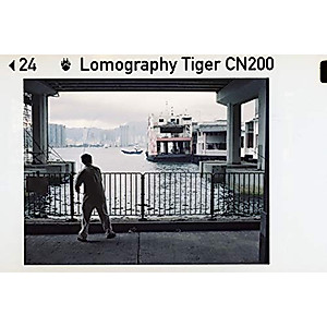 Lomography Color Tiger 110 3 Pack