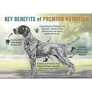 Chicken Soup For The Soul Classic Dry Small Bites Adult Dog Food, Beef & Brown Rice Recipe, 4.5 Pound Bag | Soy Free, Corn Free, Wheat Free, Small Breed Dog Food Made with Real Ingredients