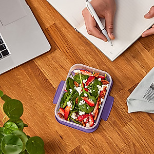 Sistema To Go Lunchbox Mint/Navy 1.2 l