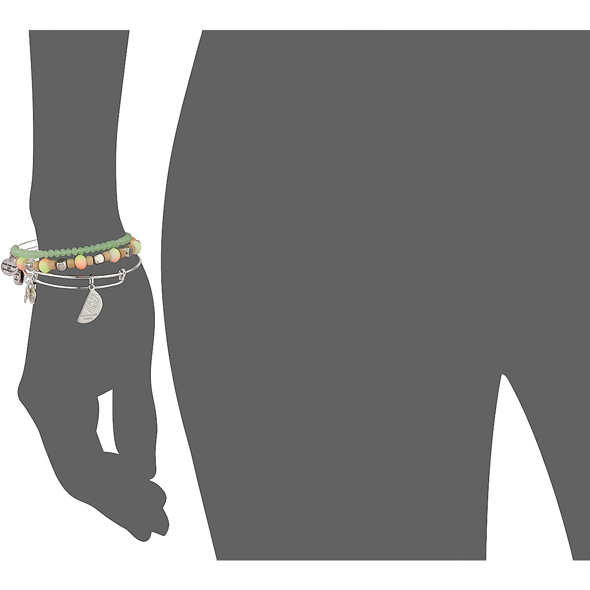 Alex and Ani Women's Color Infusion, One in a Melon Set of 3 Bracelet, Shiny Silver, Expandable