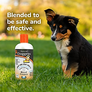 DOGGESS Dressing Best Hip and Joint Supplement for Dogs, Glucosamine & Chondroitin/Joint Health/Salmon Oil for Dogs Skin and Coat Health, Delicious Beef Gravy Flavor - 16 Oz Pack of 1