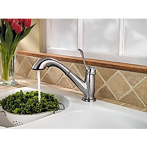 Pfister Bixby 1-Handle Pull Out Kitchen Faucet, Stainless Steel, 1.8 gpm LF5385LCS