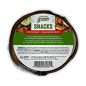 Living World Green Snack Bowl, 2-in-1 Snack Feeder and Chew Toy for Small Animals, Fruit Medley
