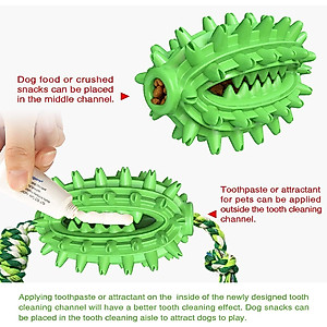 Dog Chew Toys Dog Toothbrush Stick Teeth Cleaning Brush Dental for Small Medium Large Dog, Rubber Dog Squeaky Toys for Aggressive Chewers Cactus Tough Toys Interactive for Training Cleaning Teeth