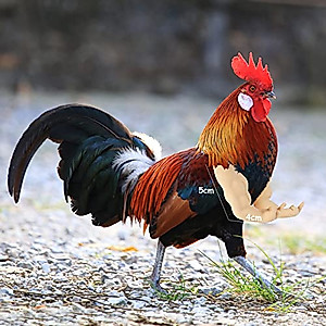 FUAMEY Muscle Chicken Arms Toys for Chickens to Wear, Funny Costume Fist Fighting Arms Toy for Pet Prank Themed Party, Artificial Arms Costume Cosplay for Chickens Rooster Hens