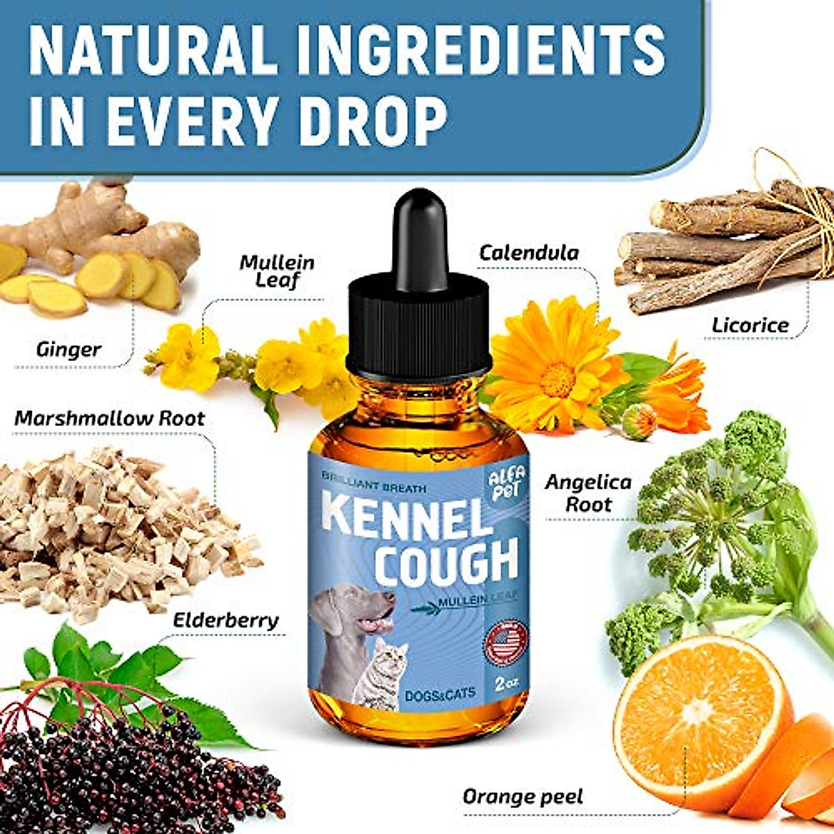 Dog Cough - Kennel Cough - Dog Allergy Relief - Supplements For Dogs & Cats Health - Allergy Relief Immune Supplement for Dogs - for Dry, Wet & Barkly Pet Cough - Suitable For All Sizes