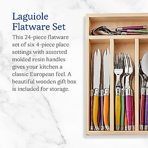 Jean Dubost Laguiole 24-Piece Everyday Flatware Set, Fruity Handles - Rust-Resistant Stainless Steel - Includes Wooden Tray - Made in France