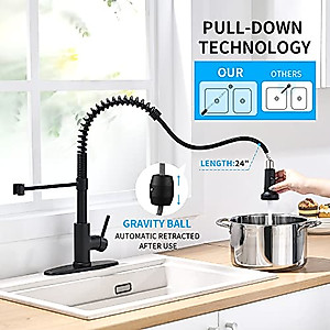 Black Kitchen Faucet Kitchen Sink Faucet with Sprayer - Kitchen Faucet with Pull Down Sprayer