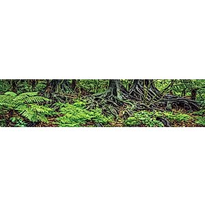 Reptile Habitat Background; Rain Forest Ferns & Roots, for 48Lx24Wx24H Terrarium, 3-Sided Wraparound